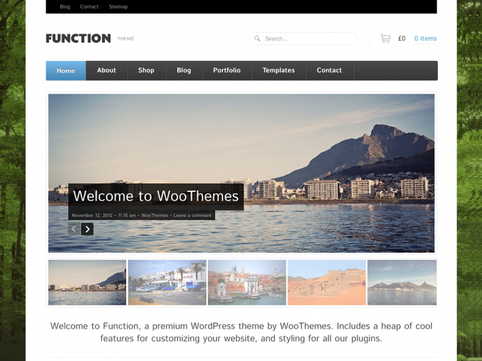 Function Woothemes - Free Download - Woothemes Plugins