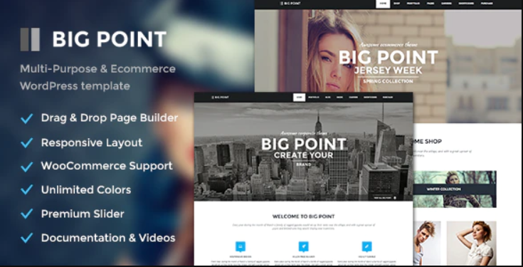 Big Point - Multi-Purpose & Ecommerce Theme - Free Download - Woothemes Plugins