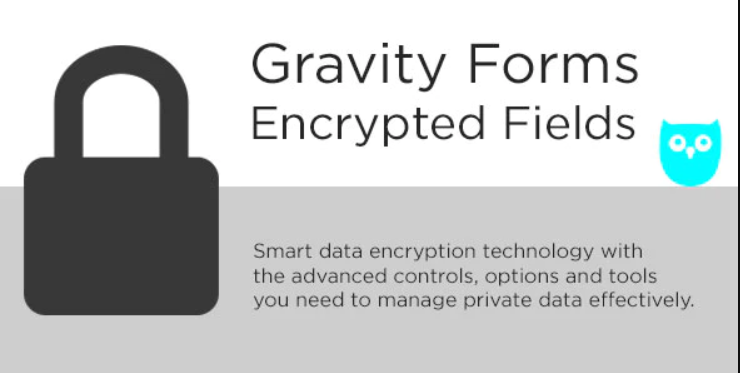 Gravity Forms Encrypted Fields - Free Download - Woothemes Plugins